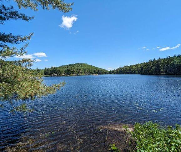 Commemorating 250 Years of Stoddard
