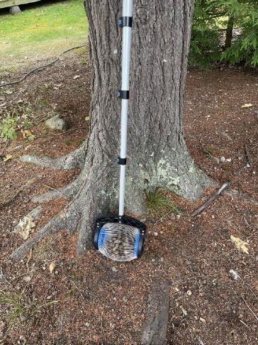 How About an Acorn Picker Upper Roller?